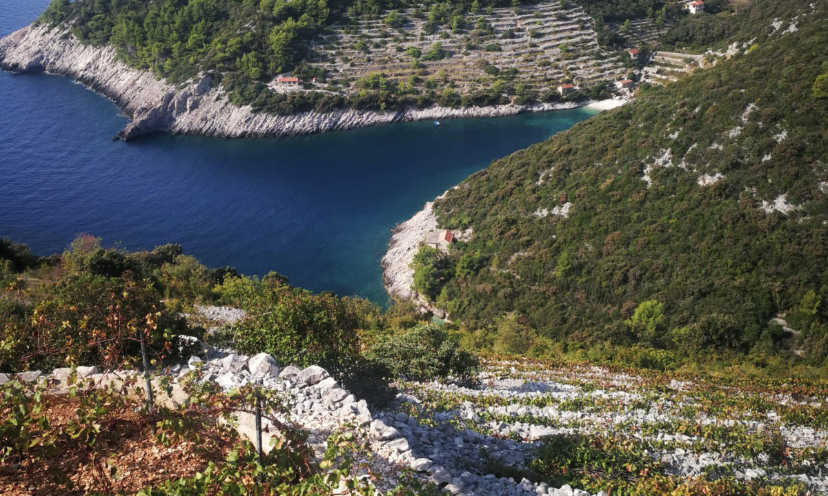 July: Nature Turns Up the Heat - Cheers Croatia Magazine